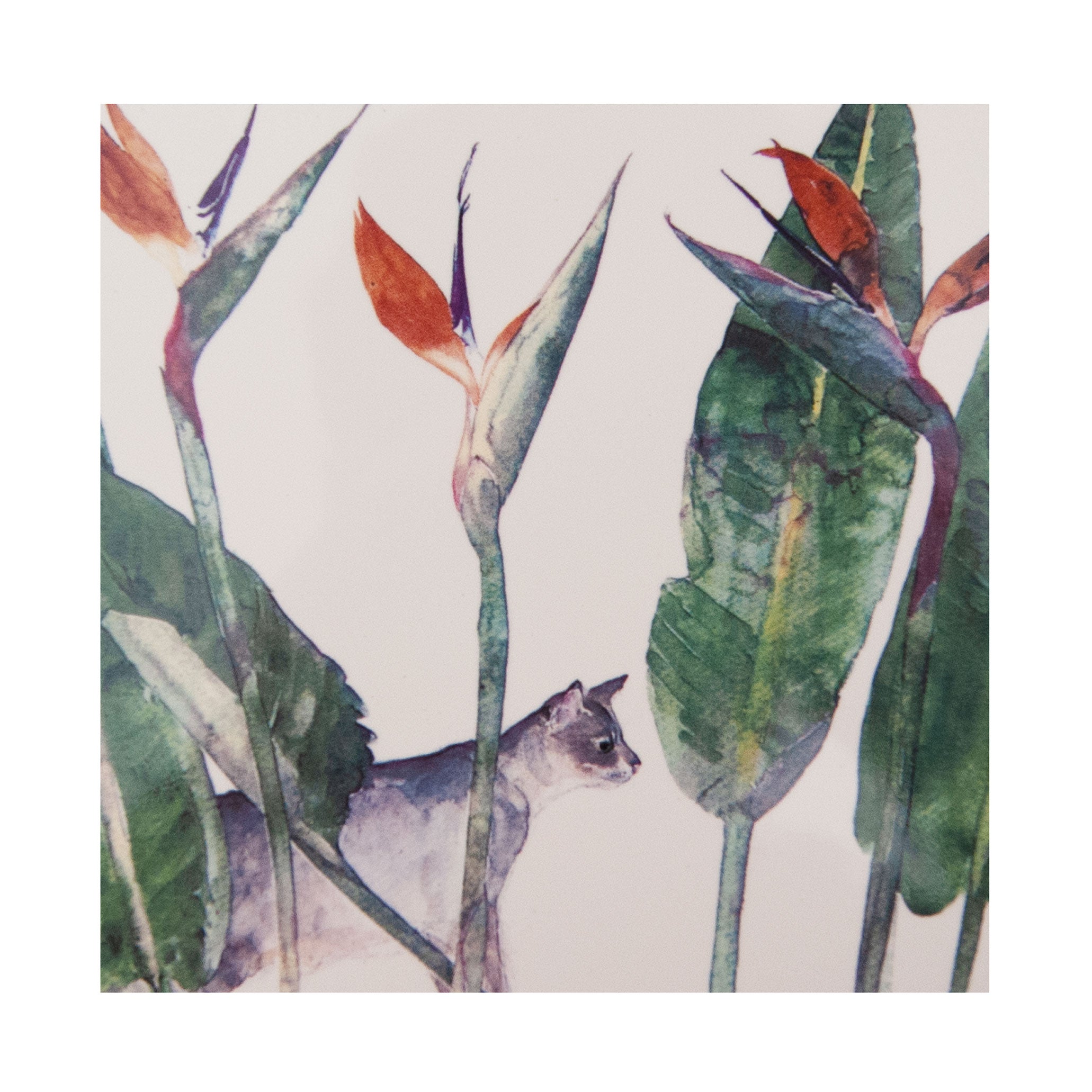 Cat & Strelitizia – Craven Dunnill Jackfield